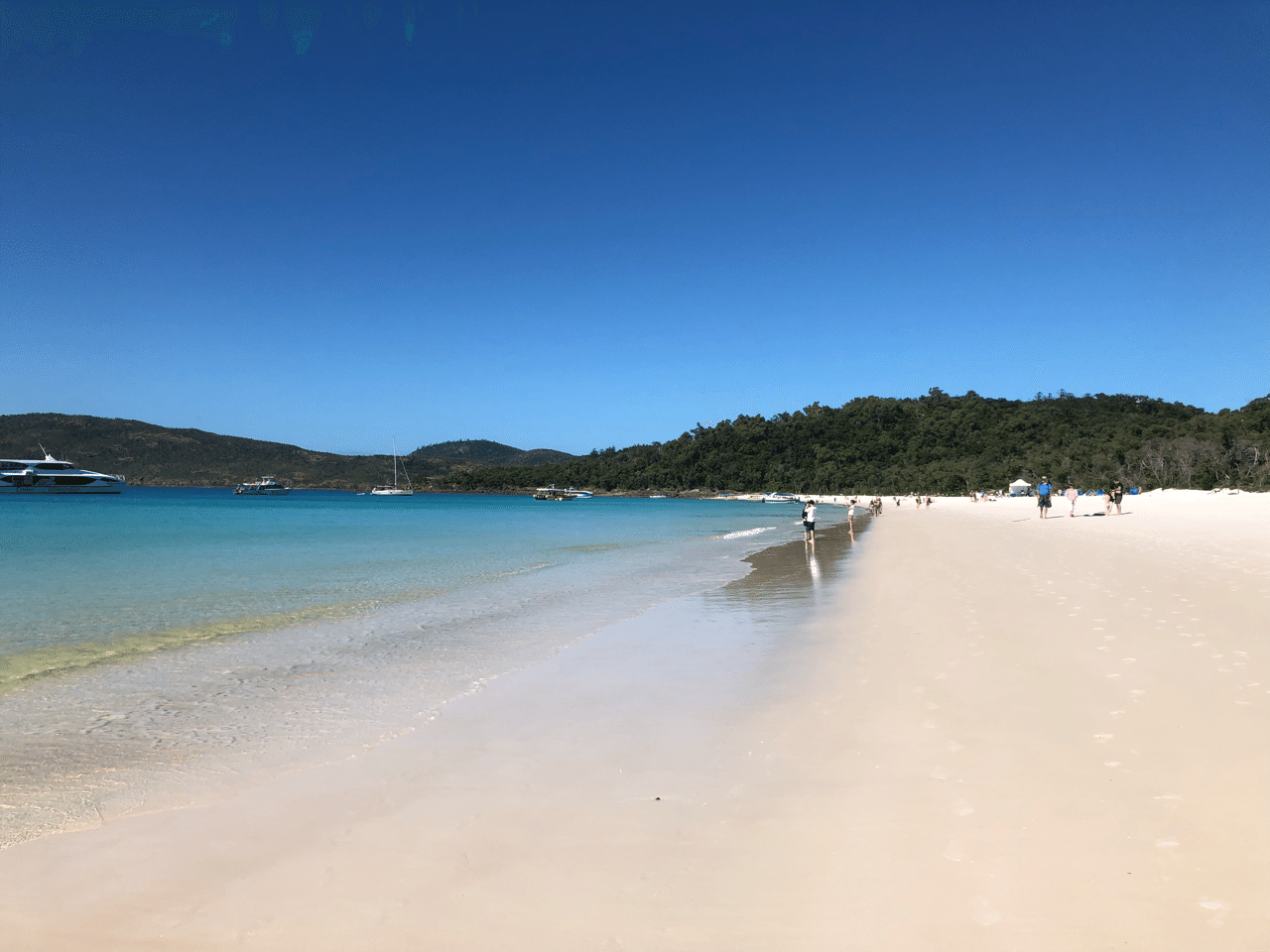 意外と知られてない！？グレートバリアリーフに浮かぶ島(旅行記)｜Jun