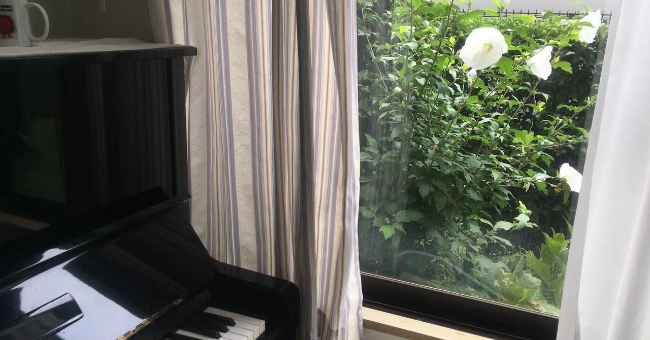 日記を書くように曲をつくれたら｜かに