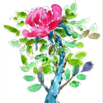 miyabiの商品一覧｜note