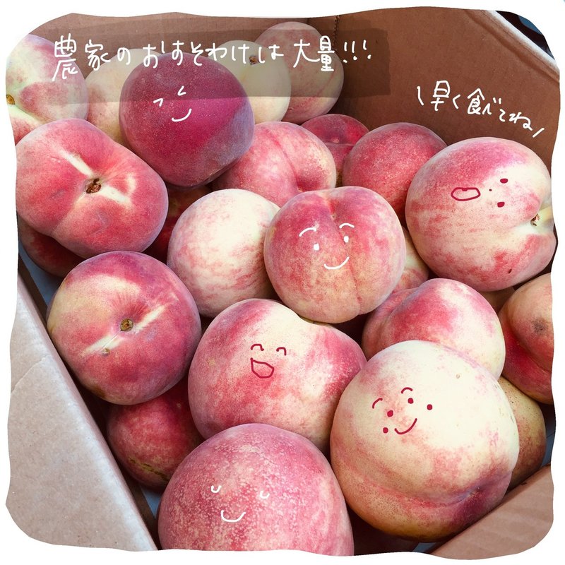 みんなで同じことをした時に感じる一体感。｜川邊 明日香 /信州よこや農園｜note