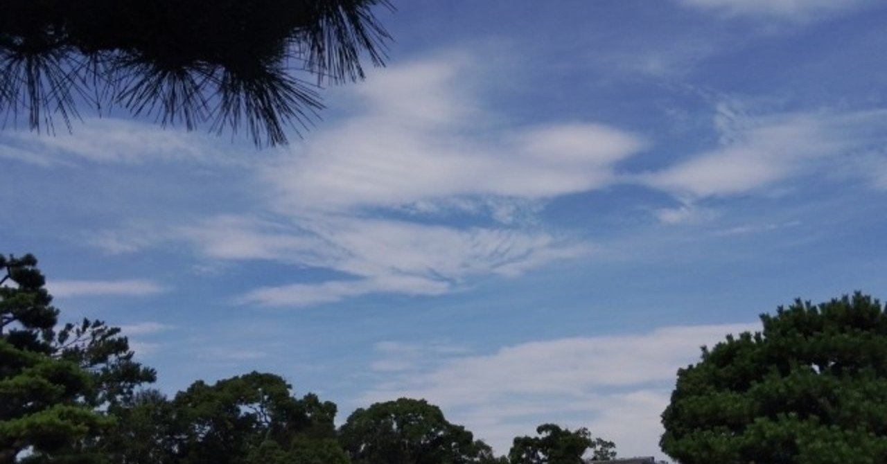 蘇る感性の時間｜きゃろってぃー🥕