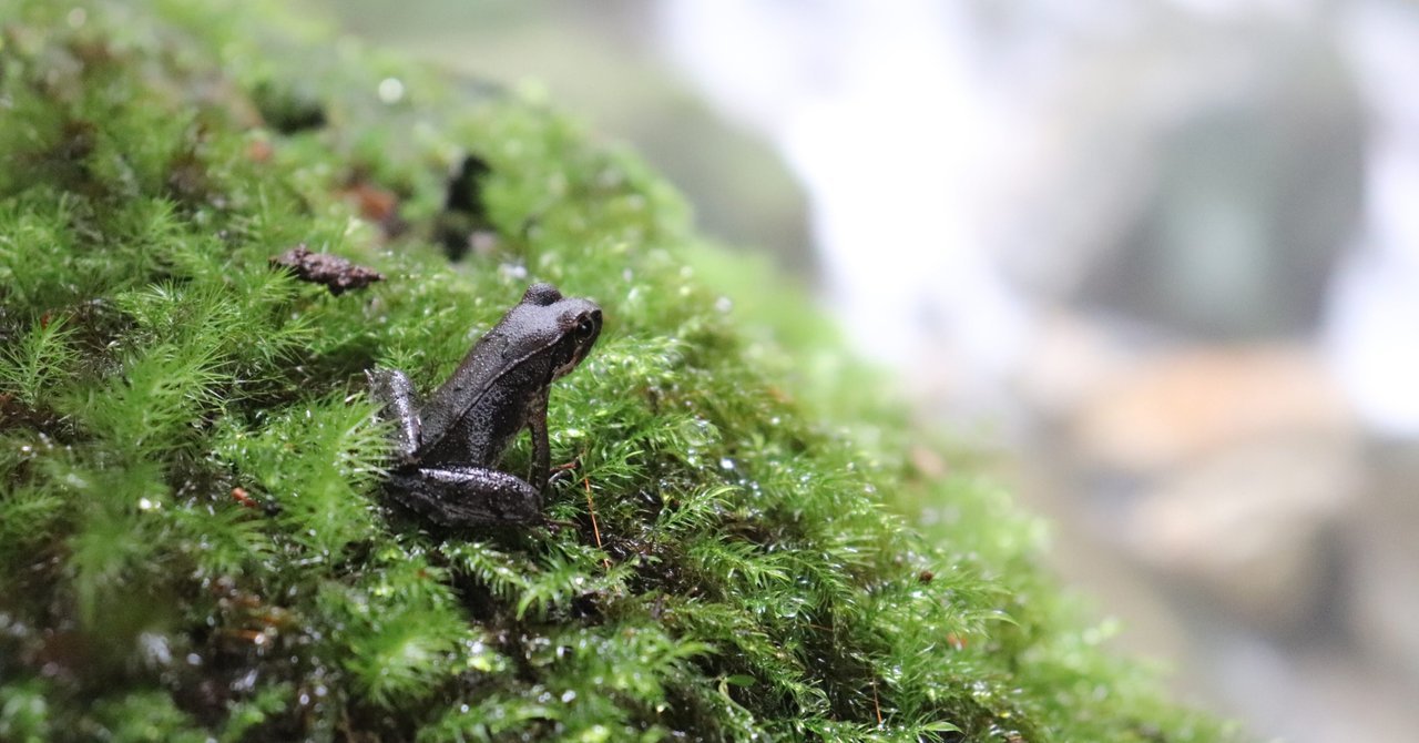 「Q」の熟成。｜SEIYA｜冒険と創造