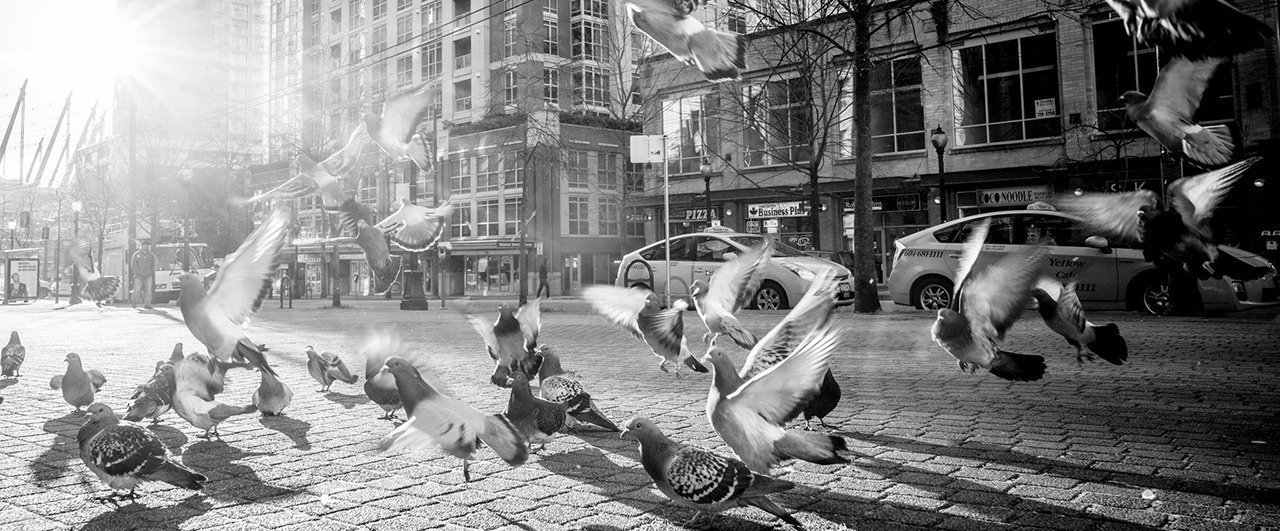 Asian traffic lights laws｜jujube｜note