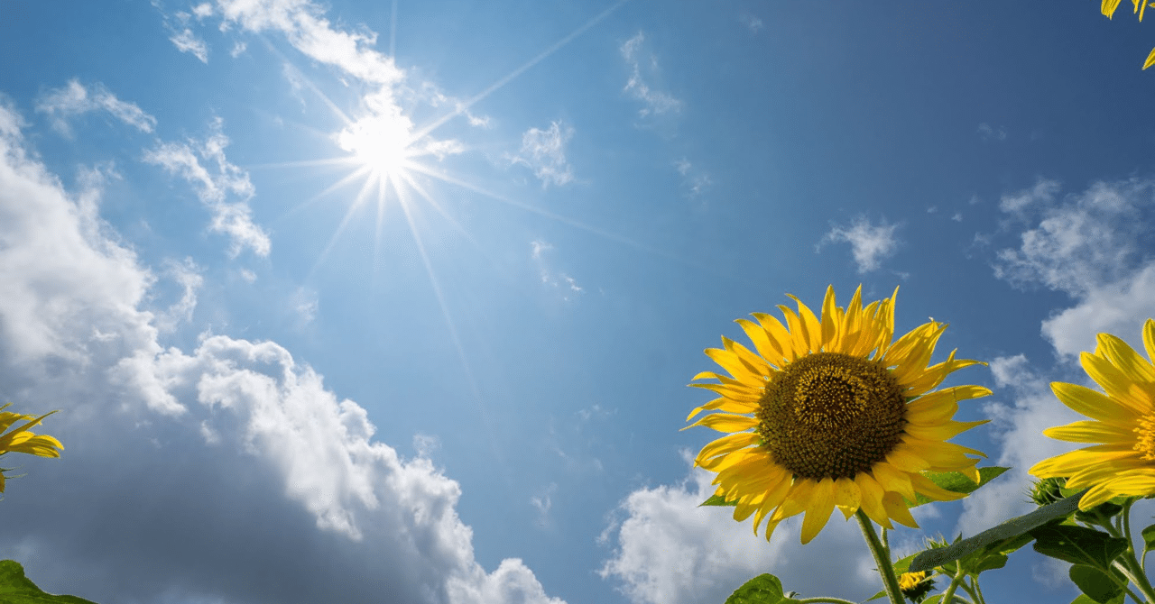 『ワーケーション2.0』へのステージへ！ 一緒にソーシャル・プロデュースしませんか｜daishiro_okada