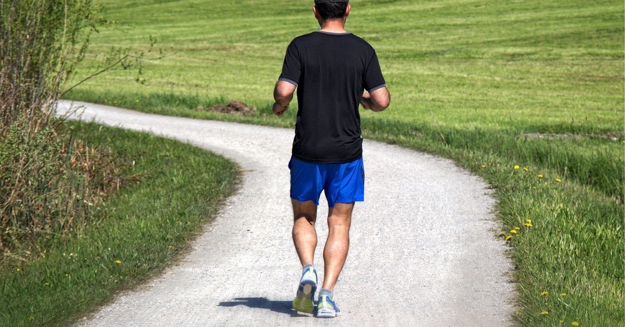 1.『中年太り』は解消できる？｜林 宗亨（一般社団法人 健康オピニオン会議 代表理事）｜note