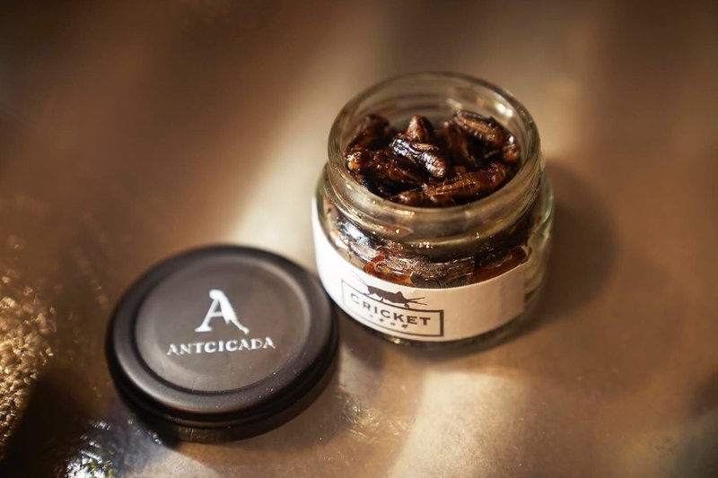 蚕（カイコ）の魅力は、シルクだけではない。 〜その① 蚕沙（サンシャ）の魅力を伝える為に糞闘中！〜｜ANTCICADA（アントシカダ）