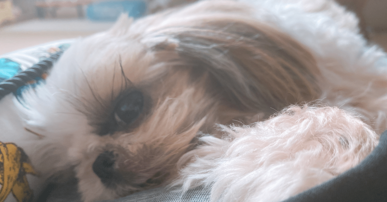 自分を攻撃すること｜はやし｜note