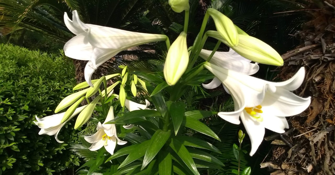 不幸は突然やってくる！｜積山ミサ｜画家