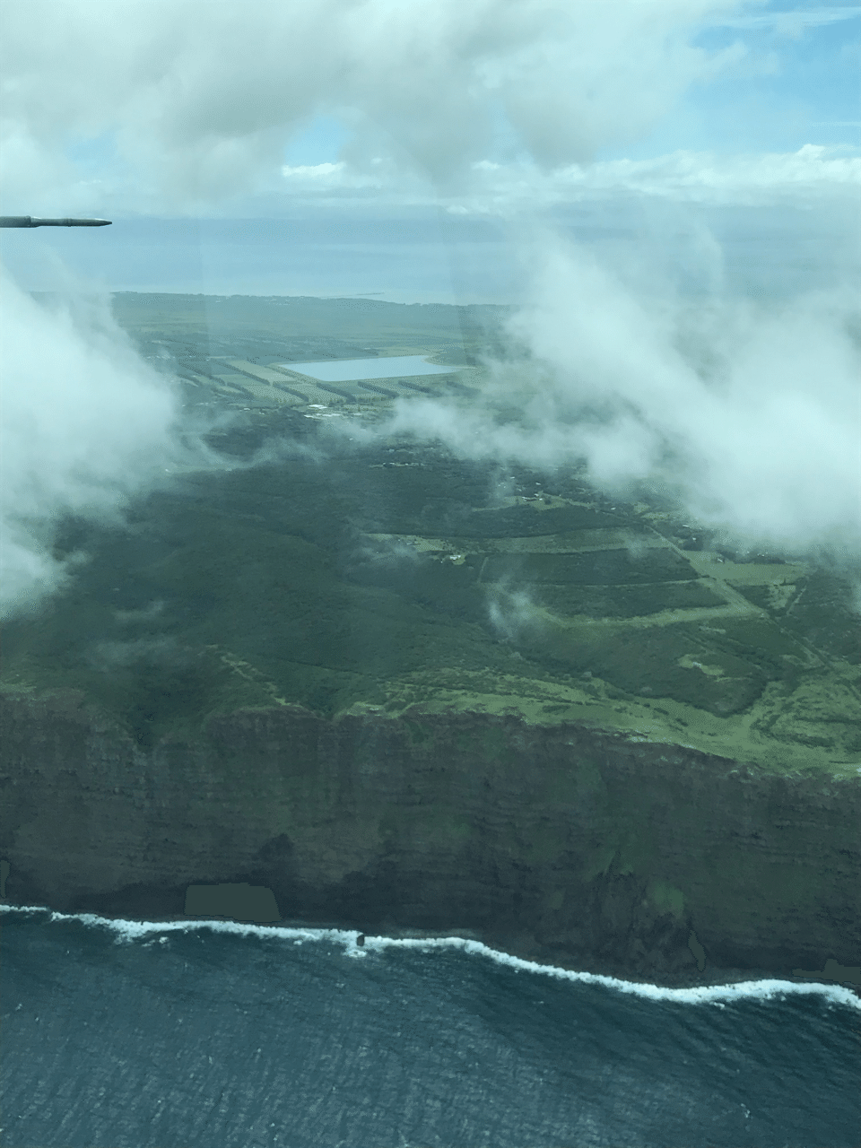 Wahine ʻllikea｜Rika