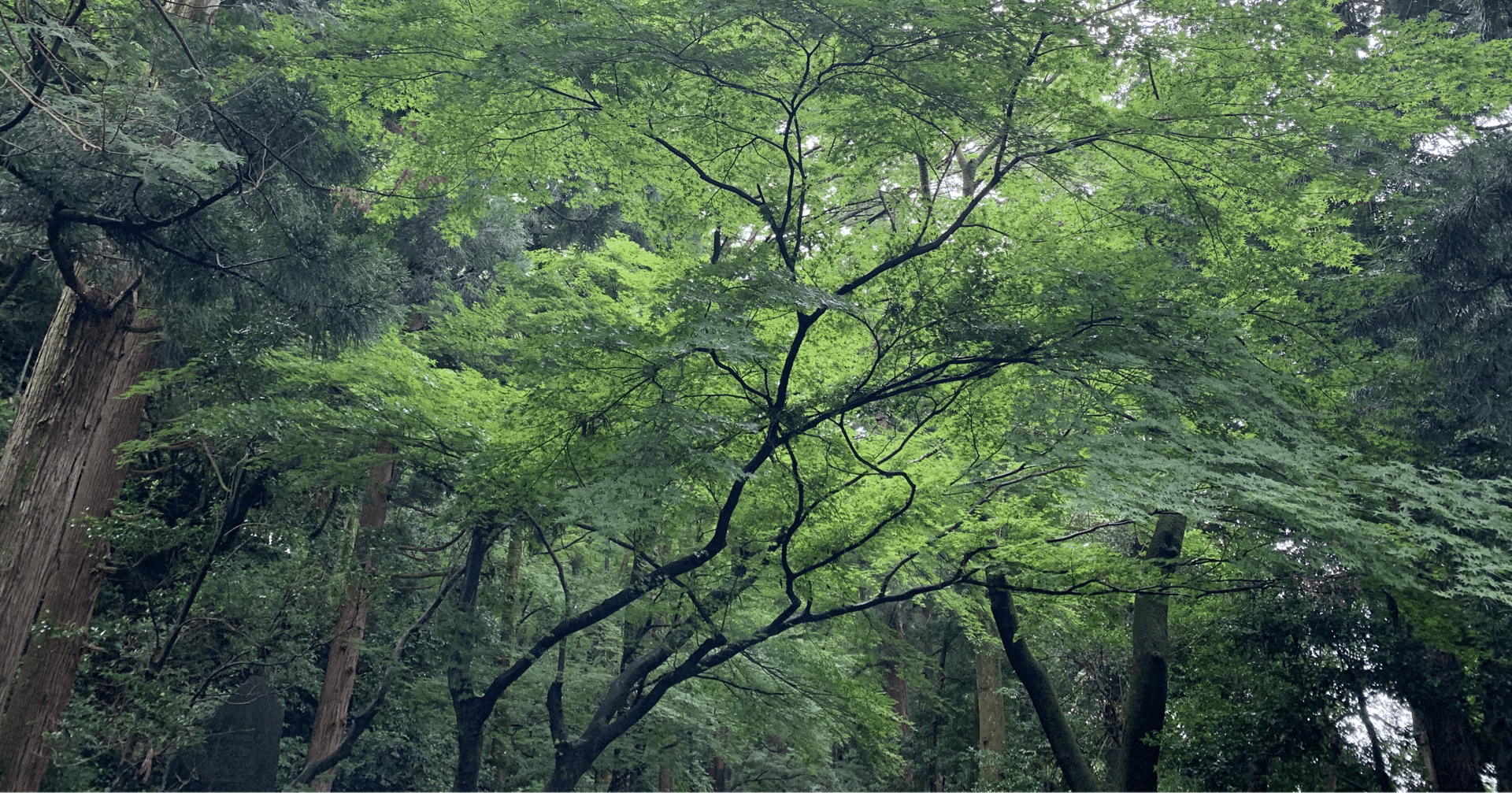 上埜洋平（Yohei Ueno）｜note