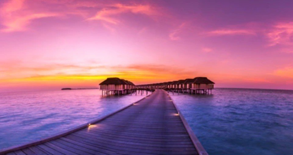 髙久 渚 / Nagisa Takaku｜note