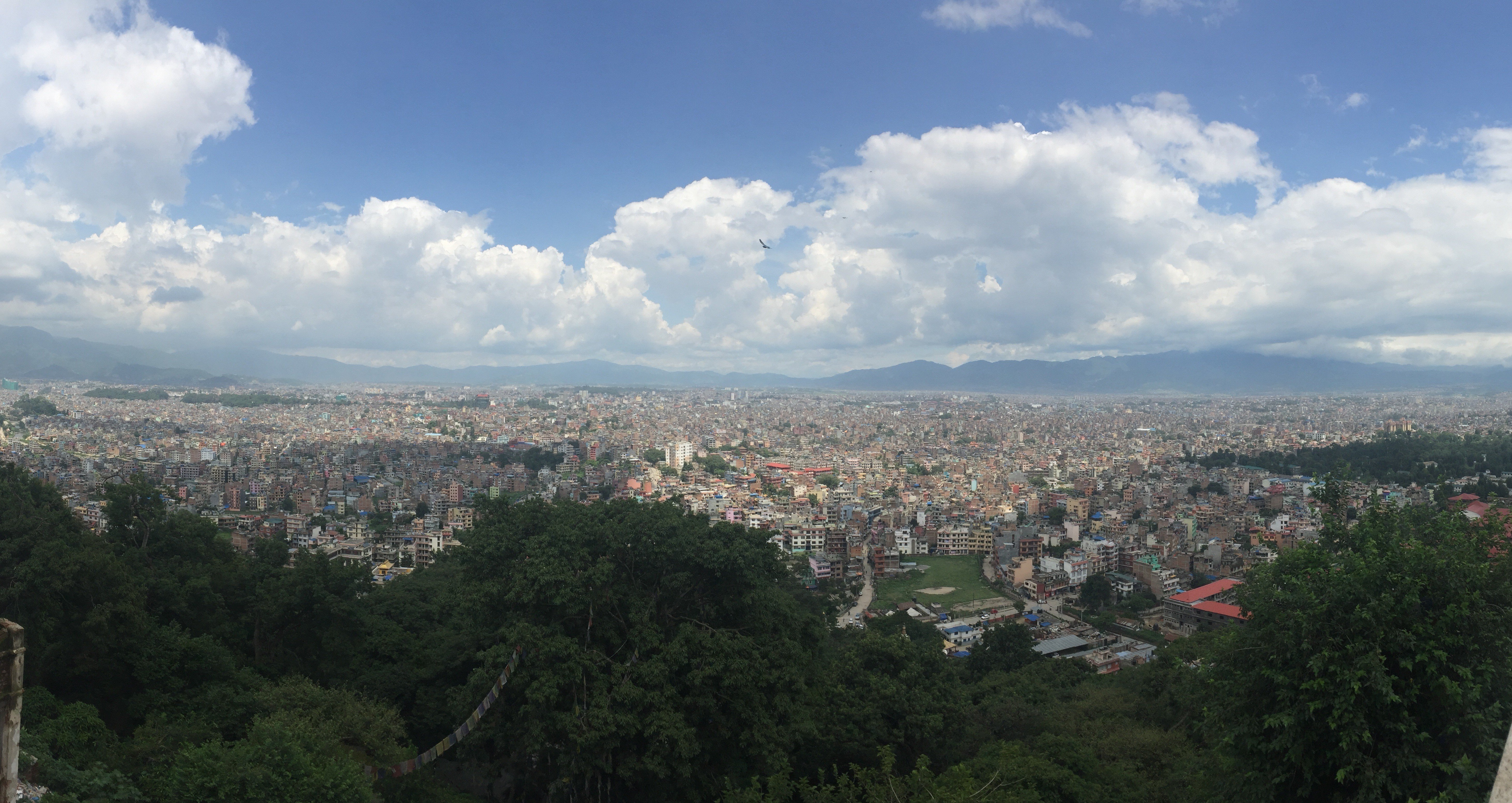 Yusei Sakamoto｜note