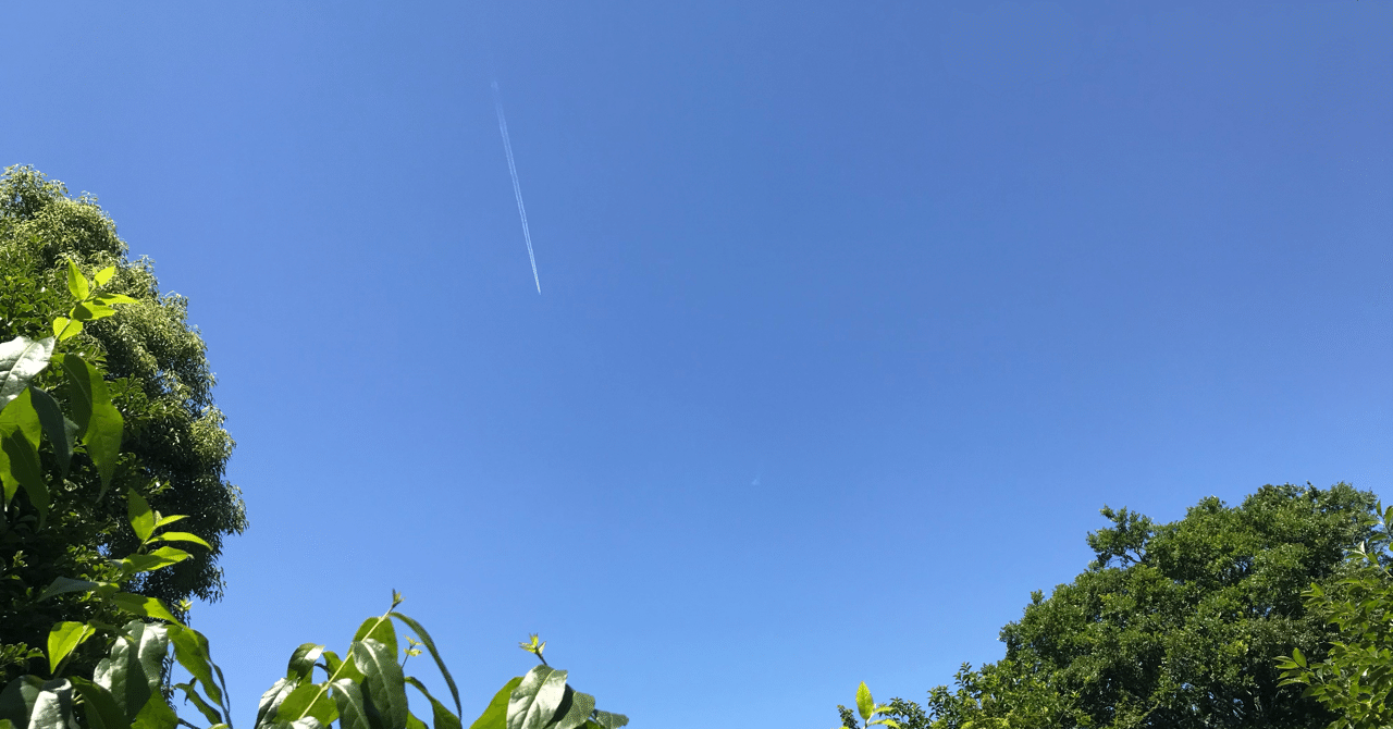 しゃーない。しゃーない。｜Wada Hiroko