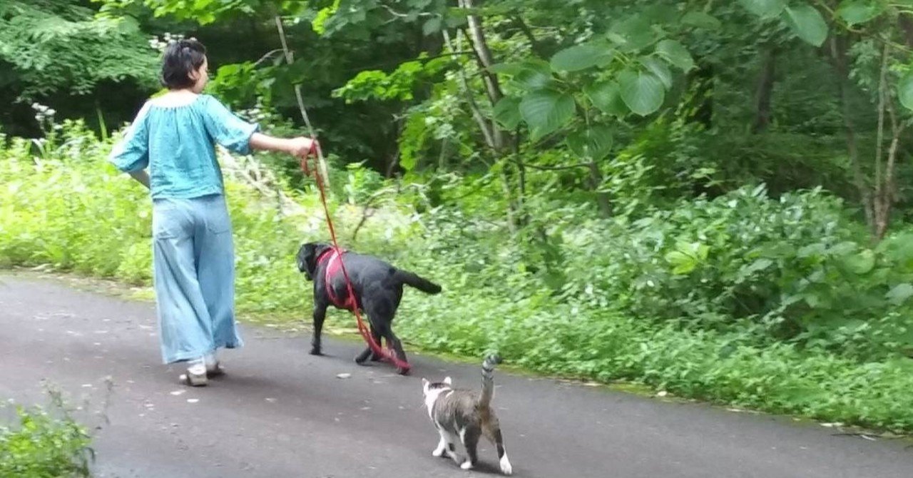 蓮水｜Rensuiのたましごと