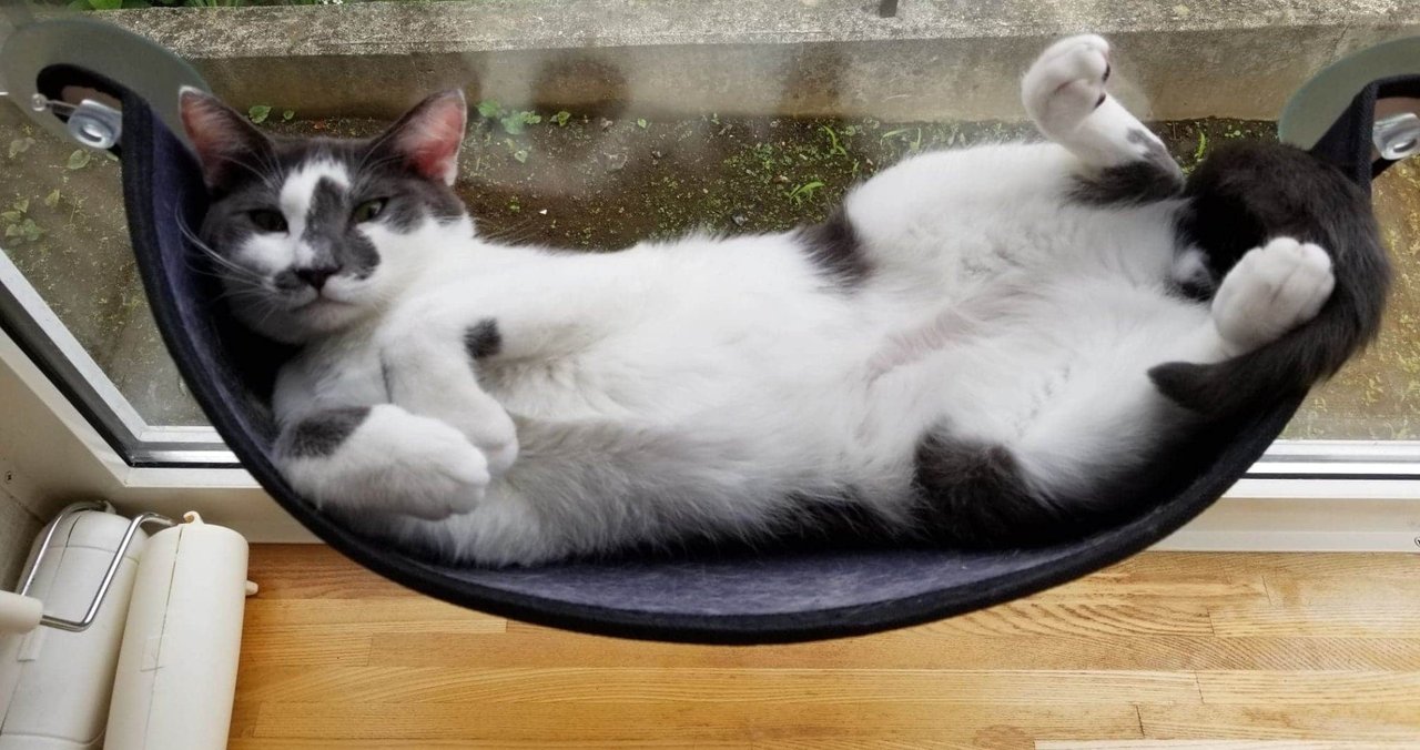 はっきりわかるインスピレーション来た！｜(Linp&Ruru) 本当の自分を知り、本当の自分として生きる｜note