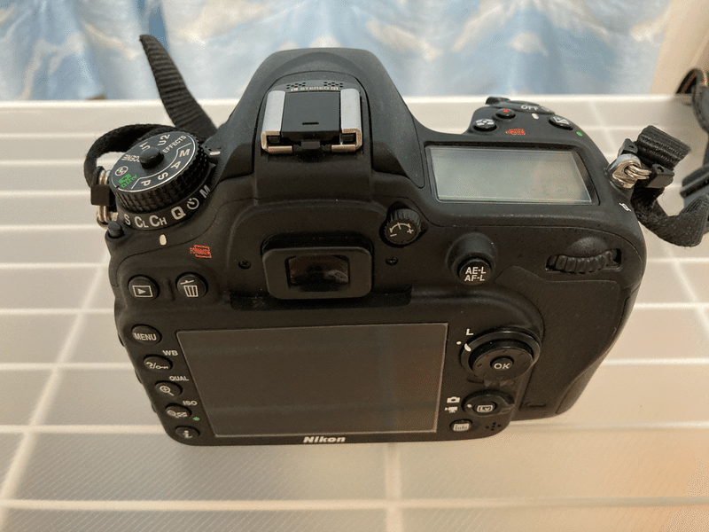 【機材レビュー】Nikon D7100｜鷺