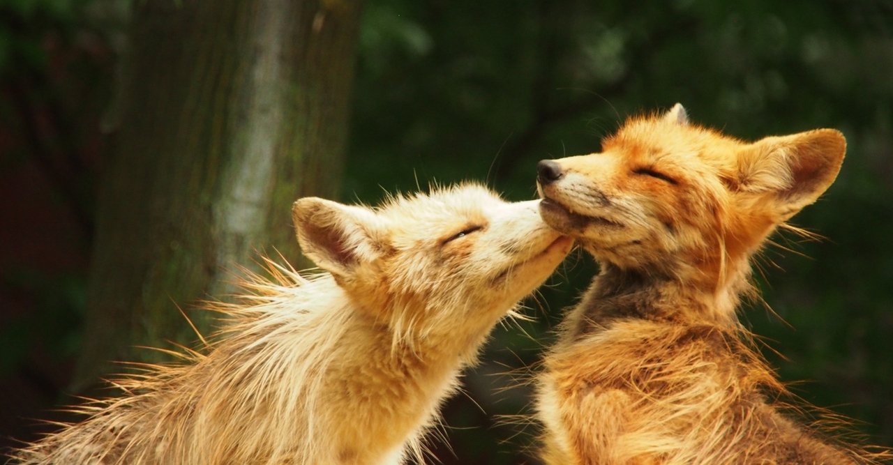 会話の主導権を握れる人たちの特徴は笑顔にあった！？リーダーシップの心理学｜心理学博士ちょっぺ〜先生｜note