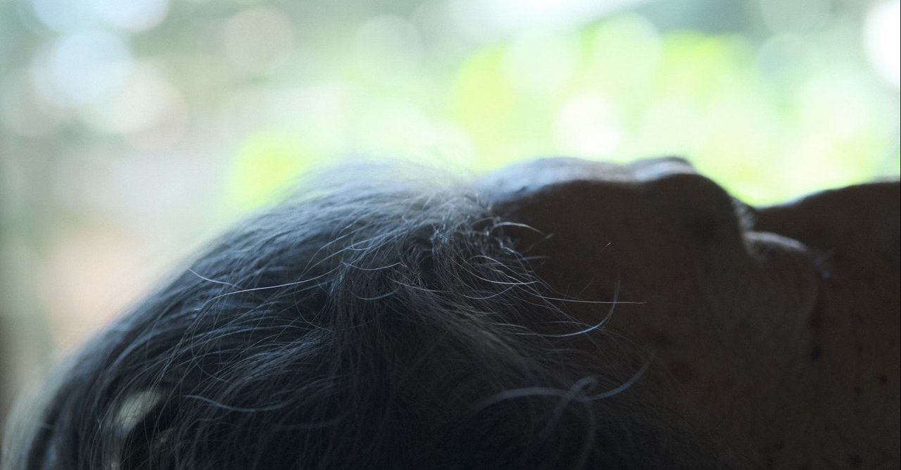 本人をおいてくな。｜ねずみ｜note