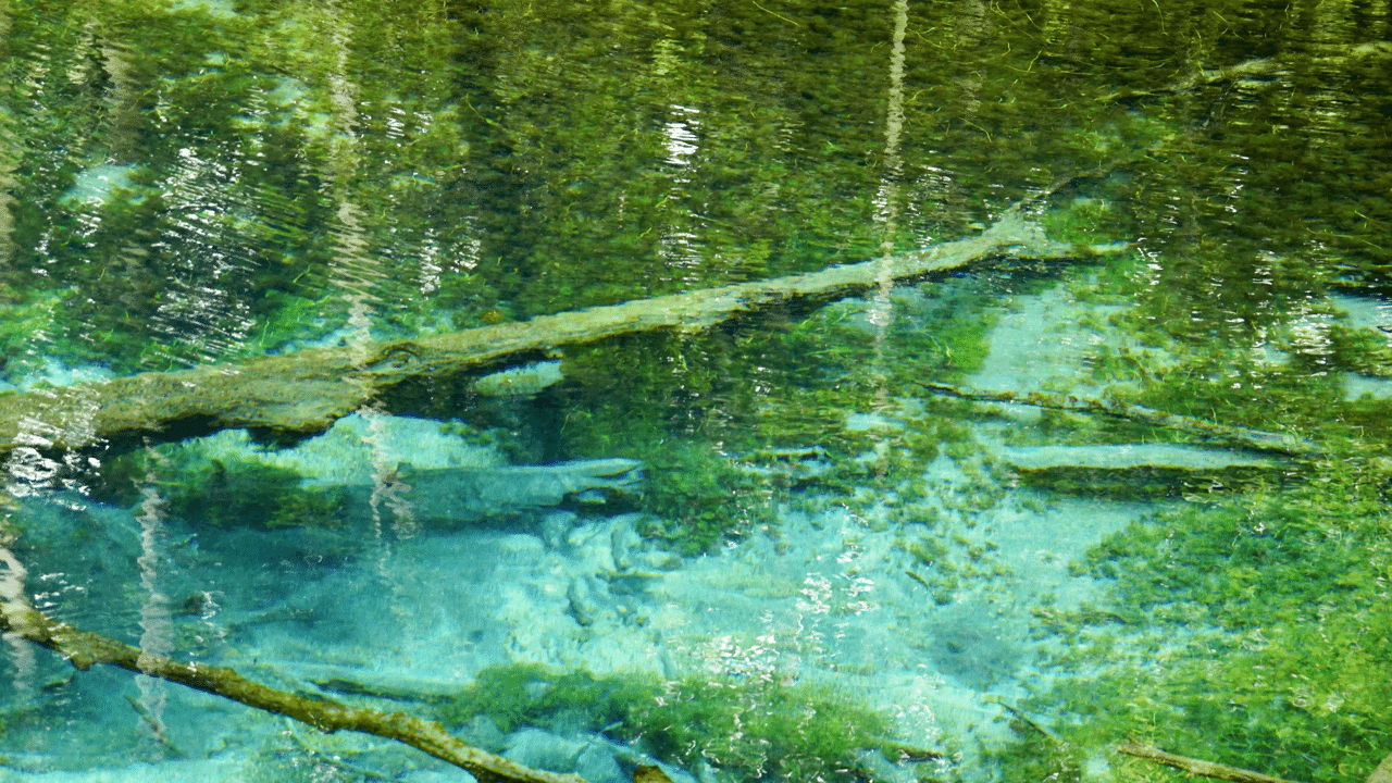 【写真集】吸い込まれそうな青が神秘的「神の子池」｜鶴雅リゾートデジタルコンシェルジュ