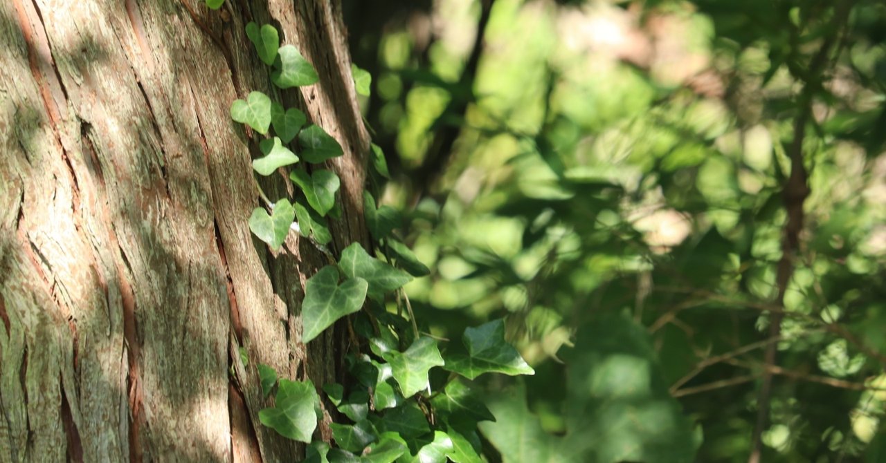 10年でわかったこと｜Sosyu Kikuchi｜note