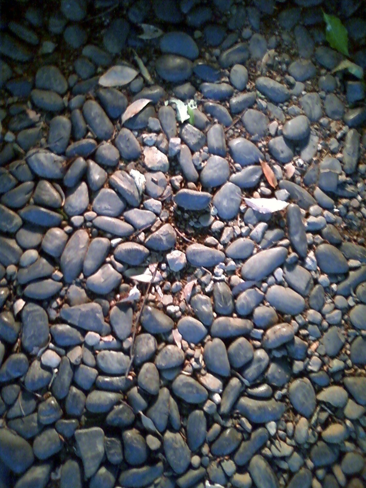 石 Rock｜安藤優 Masaru Ando