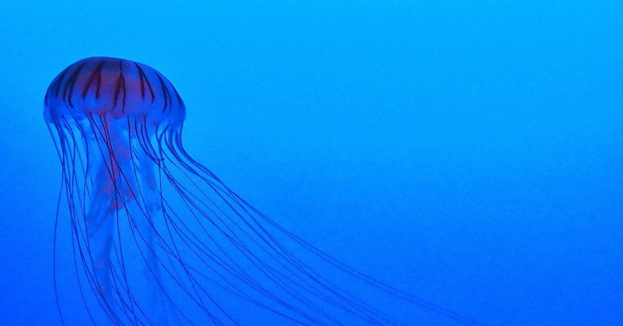 水曜日の本棚#32 さよなら、俺たち｜Mika Sudo