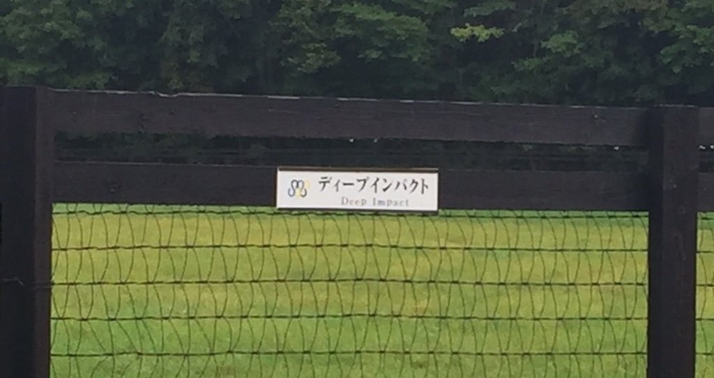 鳩胸男が今年上半期で総額250万円稼いだサイン読みの教科書|鳩胸男のサイン競馬|note
