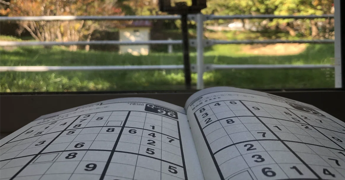 Why a Sudoku-solving program looks smart: Recursion, backtracking, and ...