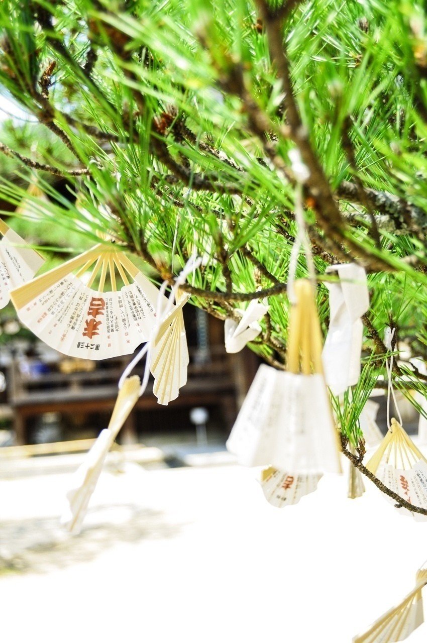 夏を感じる写真たち｜uni