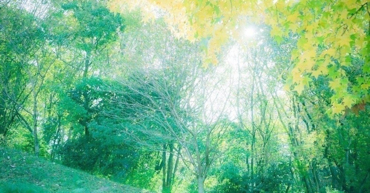 人の気持ちに敏感すぎること｜kaede.n5557｜note