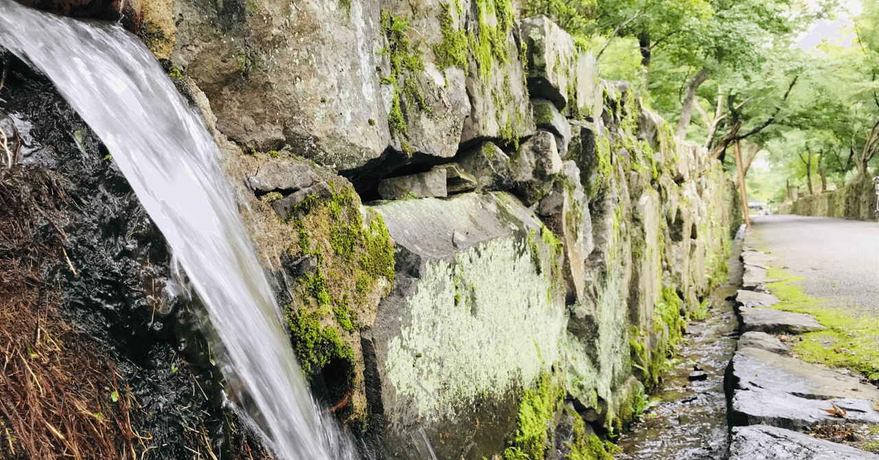 行動を変えるために必要なこと。｜Wada Hiroko｜note