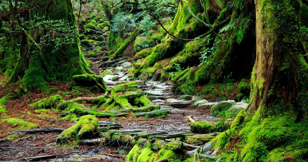 Virtual travel｜kitoma