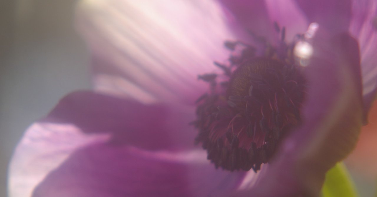 チャレンジ。・。・。・。・。・。・。｜Cosmic Suzu｜note