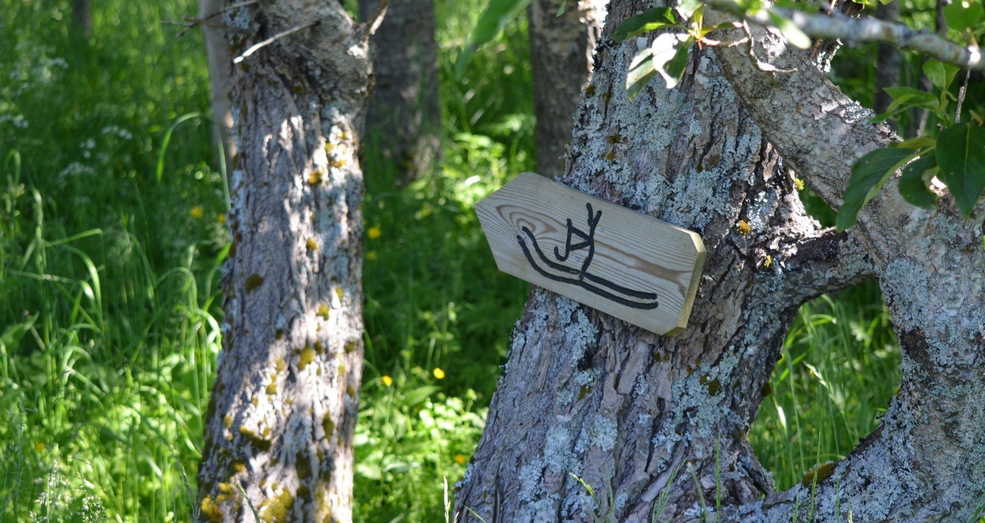 柏 澄子/Sumiko KASHIWA｜note