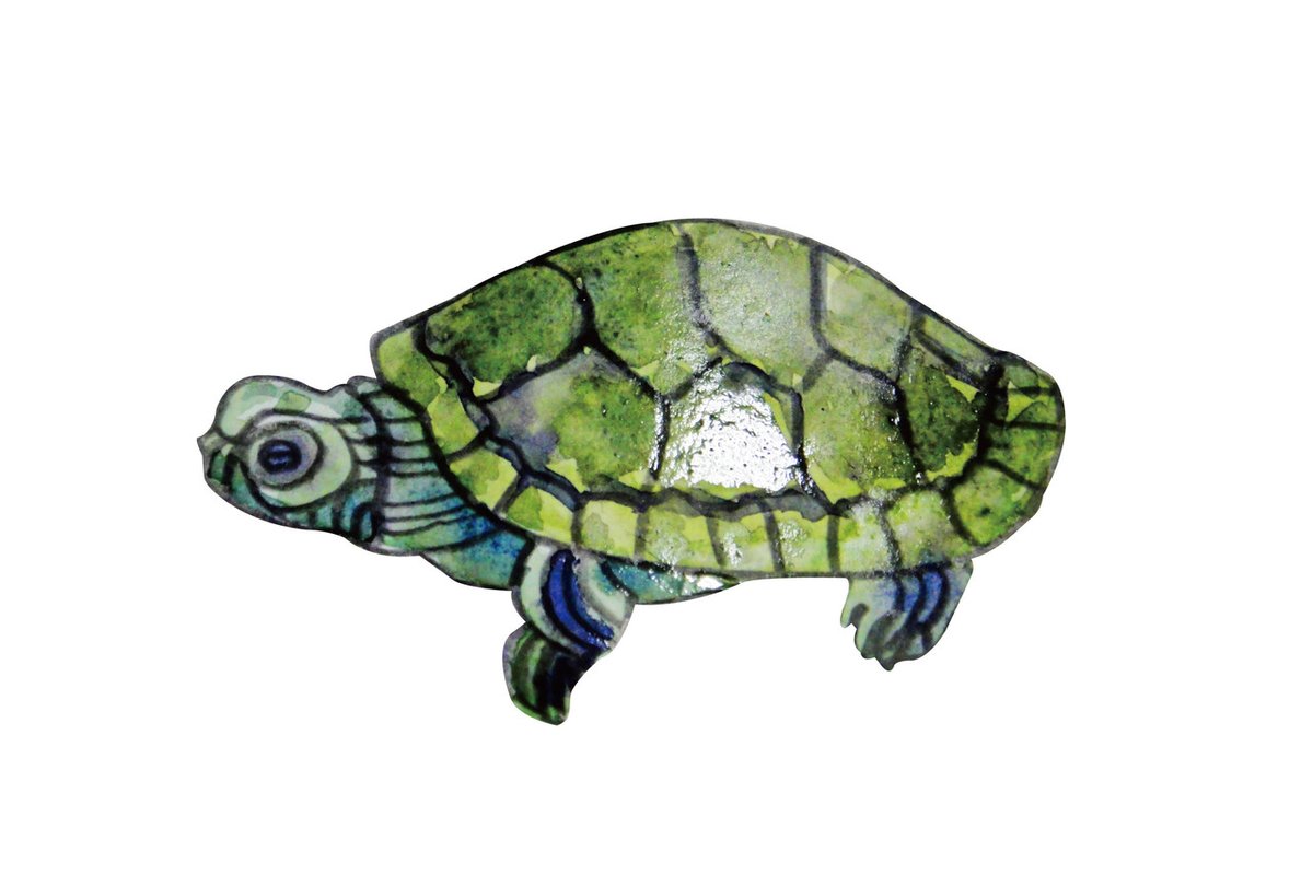 タートル」の人気タグ記事一覧｜note ――つくる、つながる、とどける。