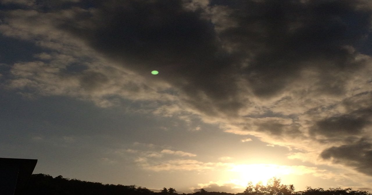 若い、綺麗、可愛い…｜網タイツ18号