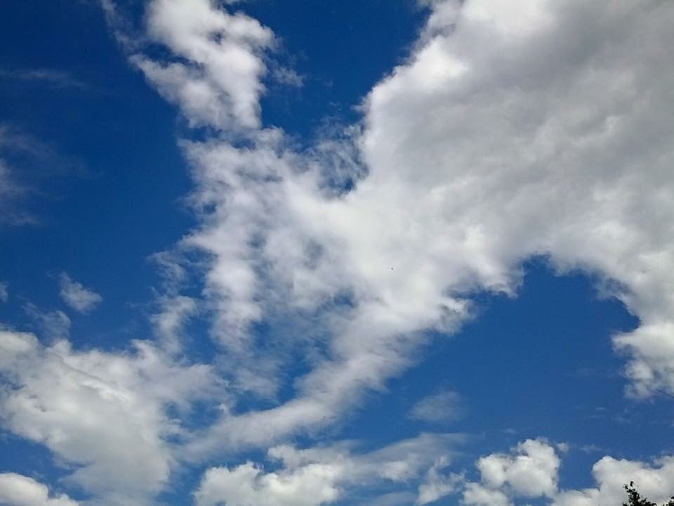 クラウゼヴィッツは、戦争を支配する3つの要素をあげ、それらの絶妙のバランスを三位一体（a paradoxical trinity）と呼んだ ...