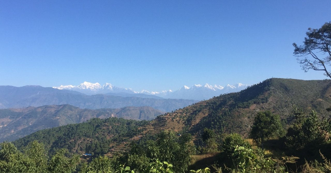 生きていく上で大切にしていること｜Yusei Sakamoto｜note