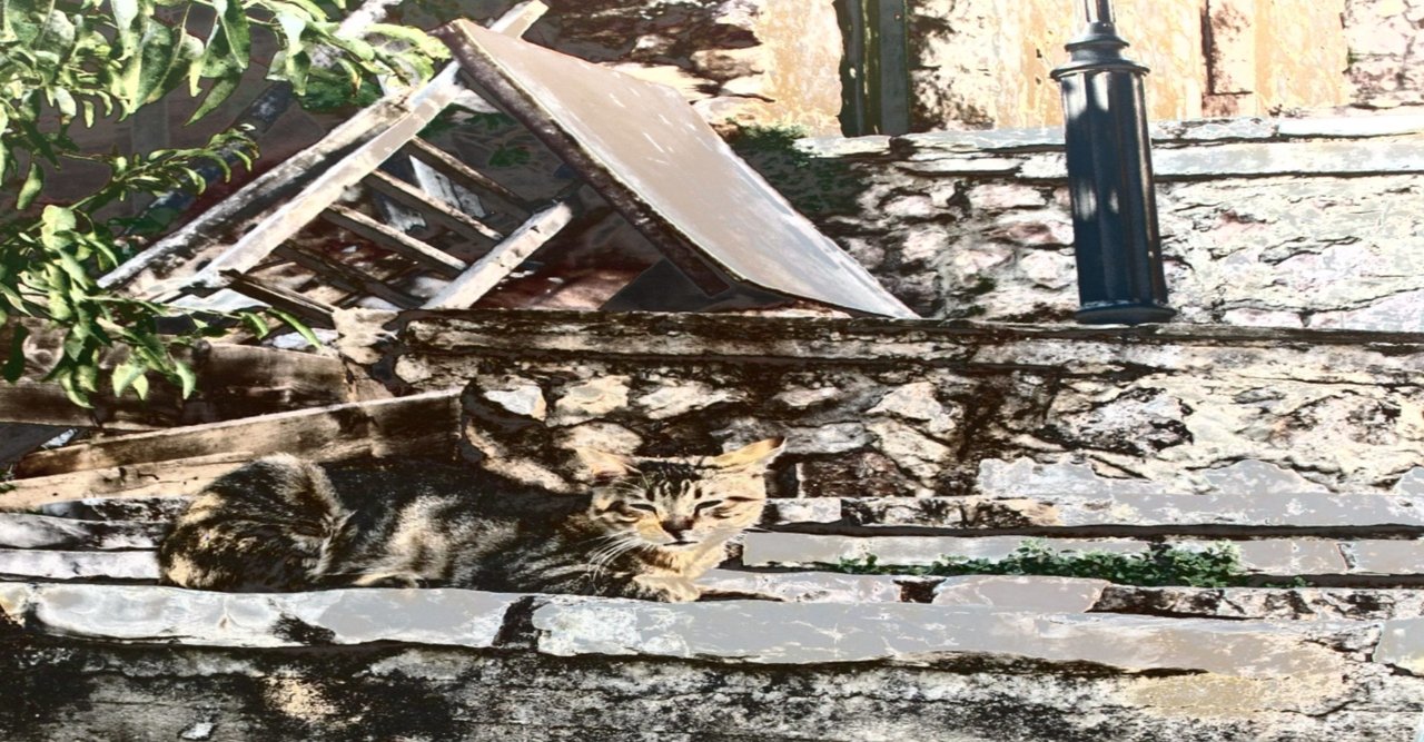 #ツイ哲20200810を終えて① 反省文｜Kimura_FUMITO｜note