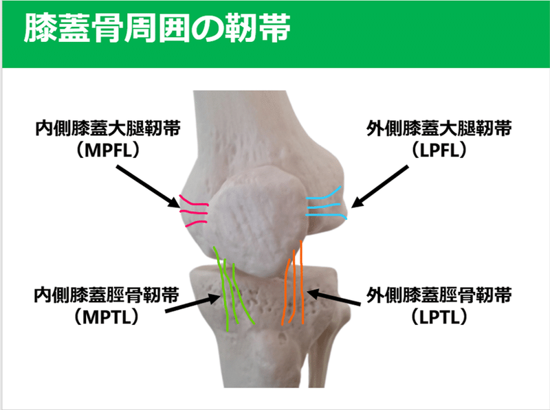 膝関節伸展制限 膝蓋骨の影響｜Y.K｜note