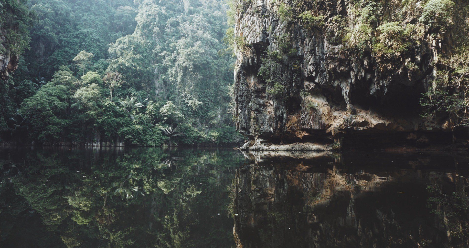 Perak Life｜che｜note