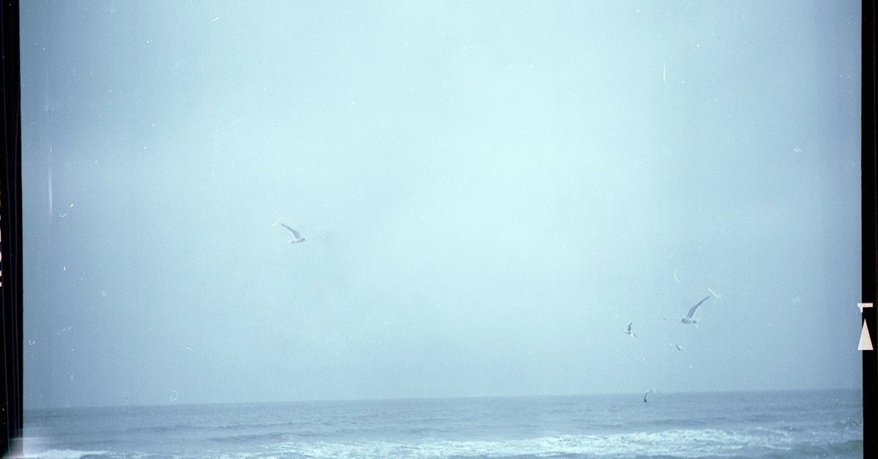 Truth is somewhere between and ｜葉っぱの坑夫