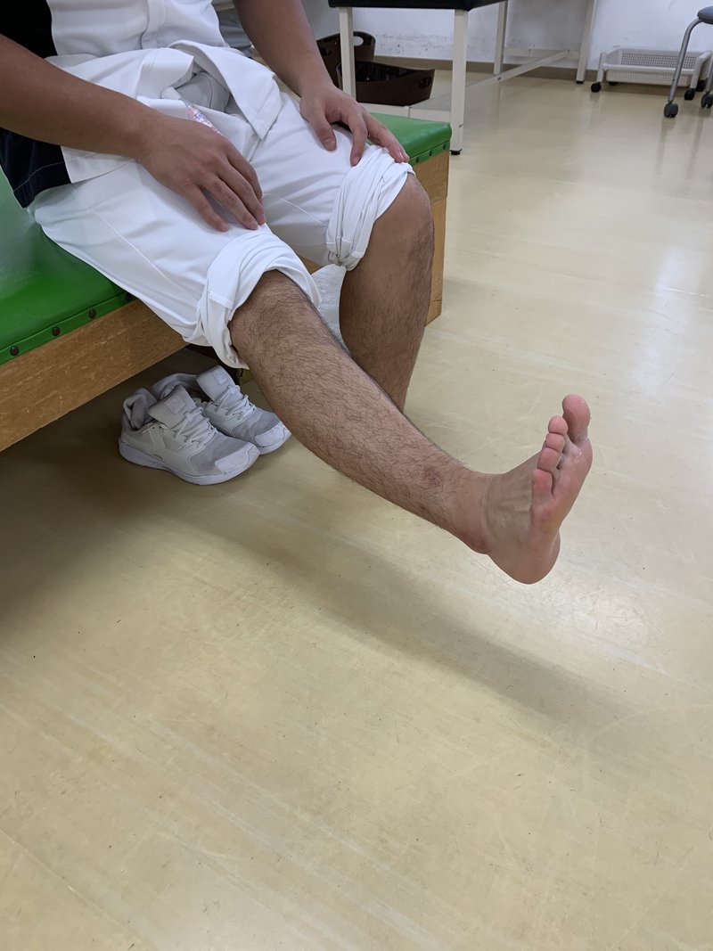 Screw Home Movement (終末強制回旋運動)と臨床｜痛み治療家@しゅういち先生