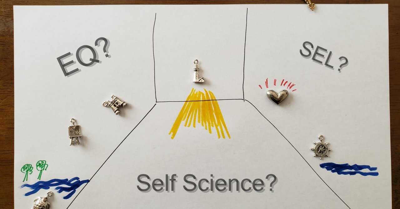 EQ？ SEL？ Self Science？ って何が違うの？｜EQ|SEL|非認知能力|専門家|三森朋宏
