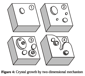 まるで結晶のようなハチの巣の成長｜ヨルワシ（Eryr13）
