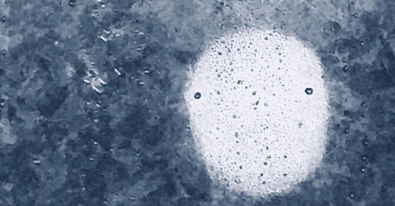 Spiritus Hopper｜note