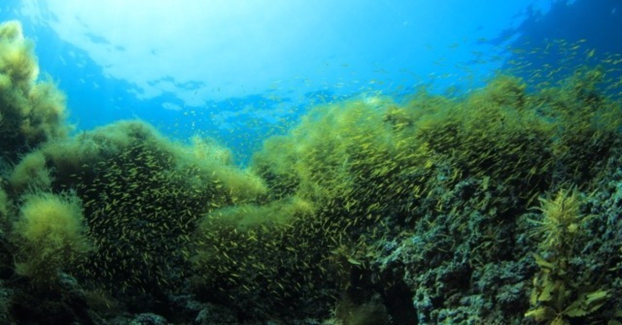 研究のきせき3｜tetsu takashi｜note