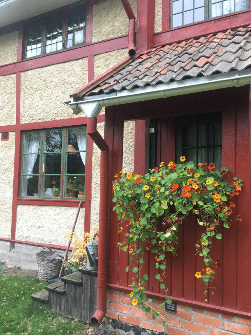 スウェーデンの田舎町へ③｜まれい｜note