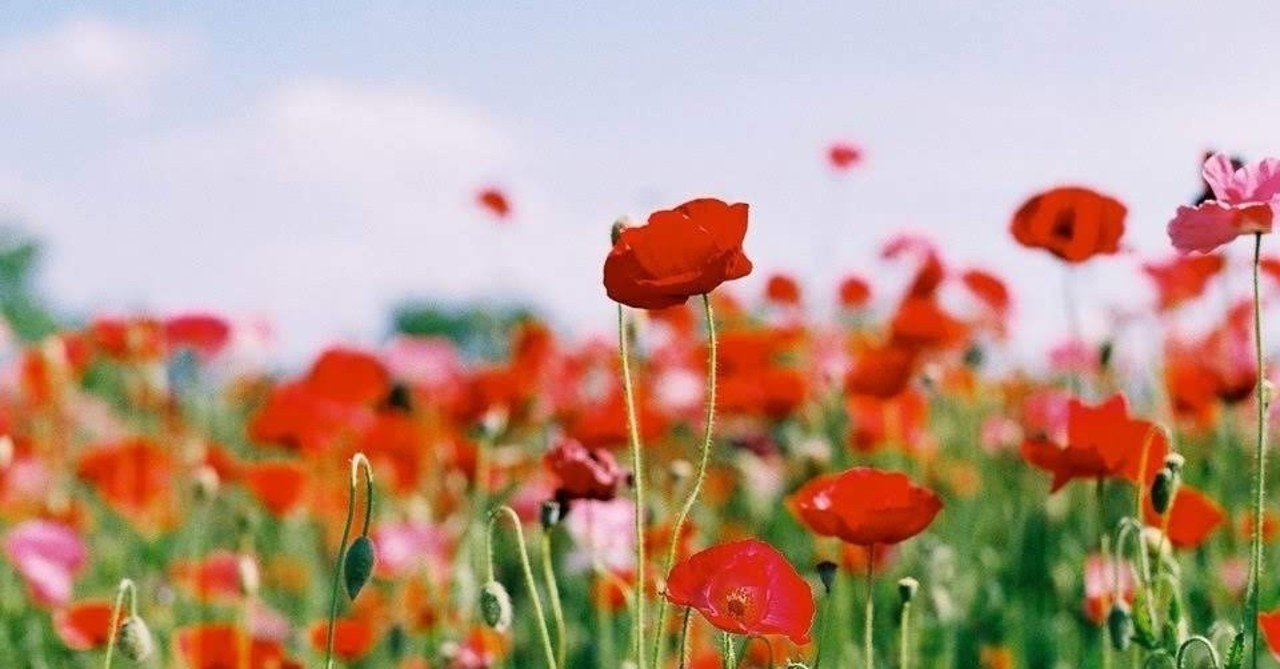 William Blake｜Oli SAORI