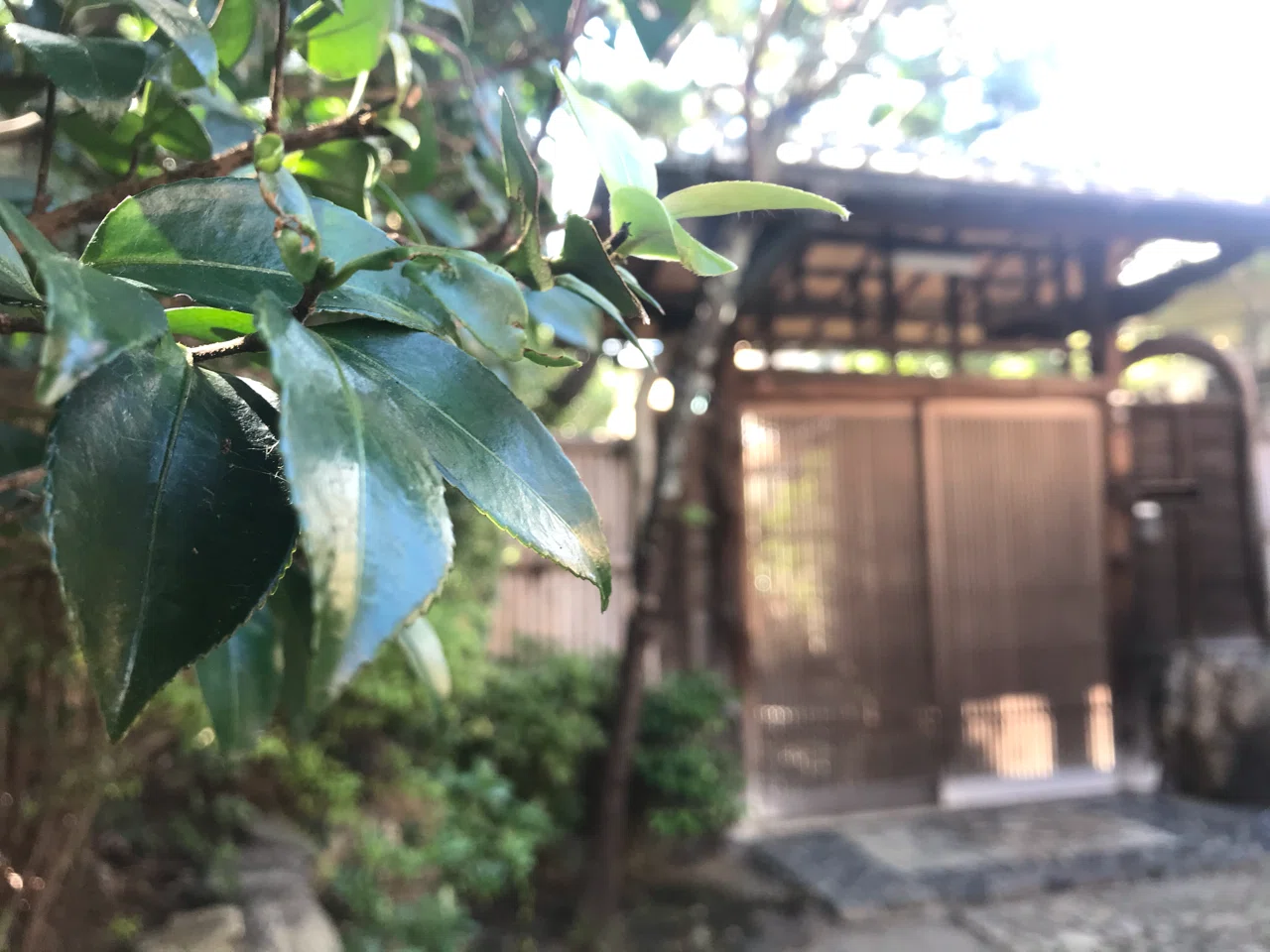 心ゆたかに～次の世代への贈り物～｜Wada Hiroko